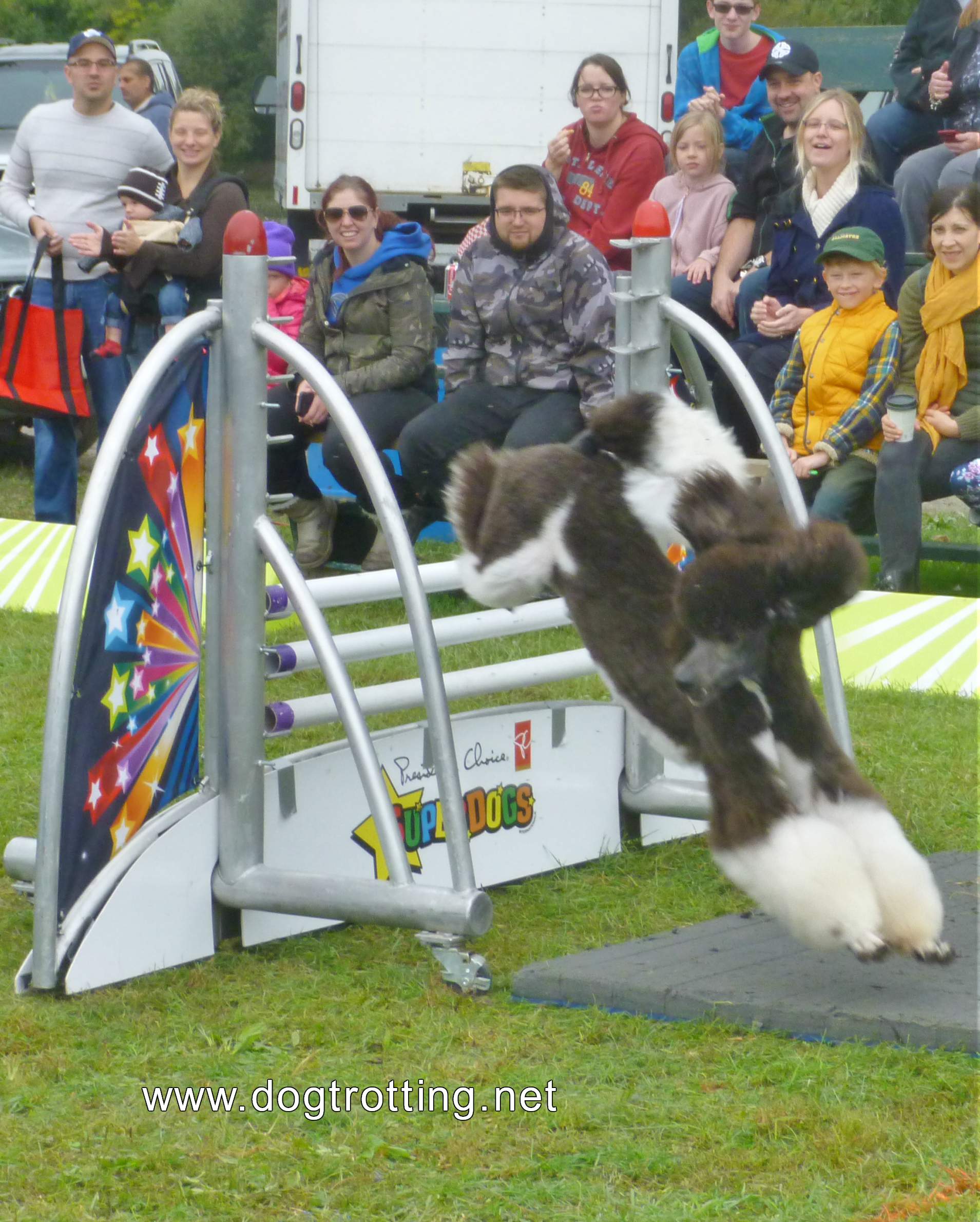 SuperDogs Super Day Drive-in Style: Up-coming Shows - Dog Trotting