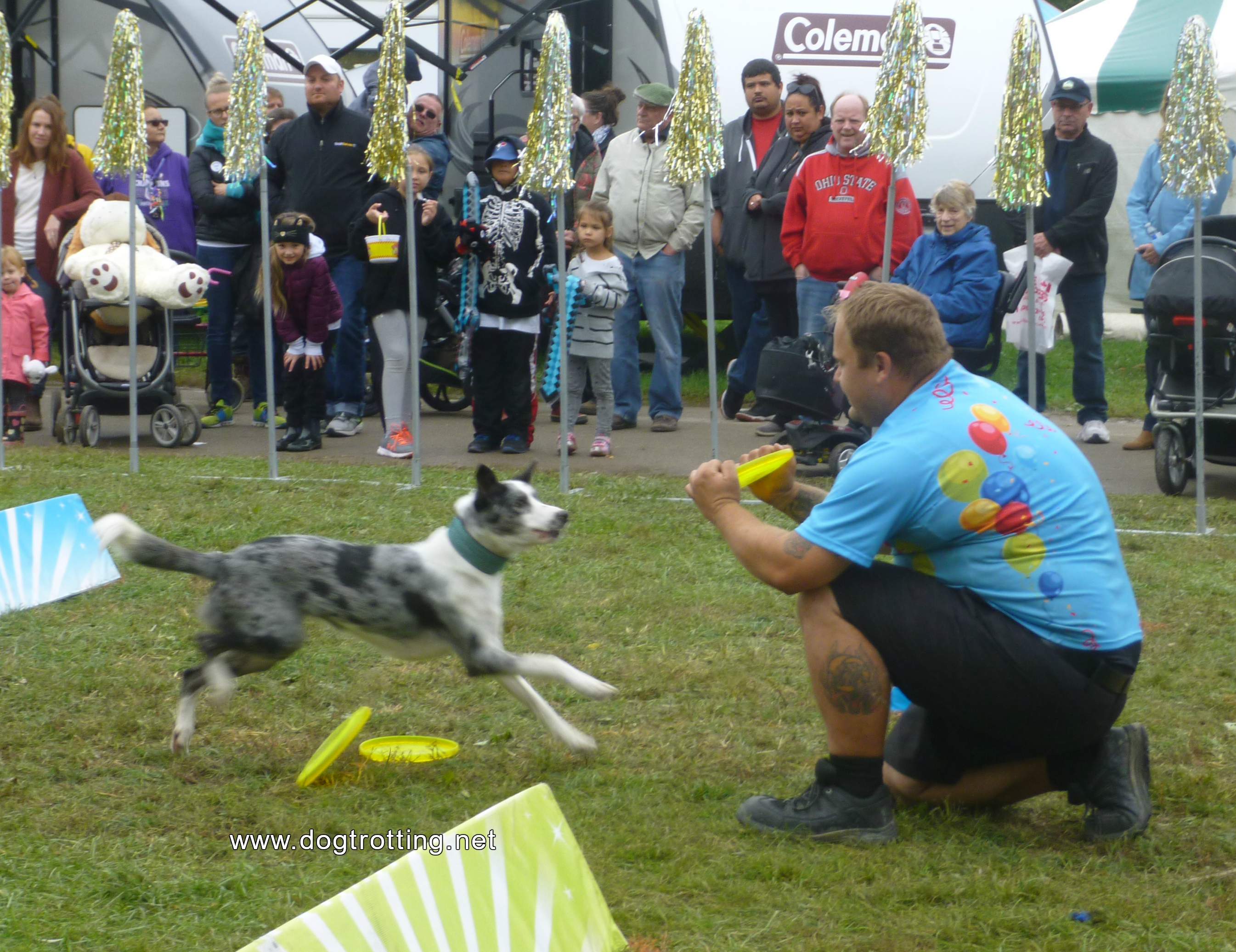 SuperDogs Super Day Drive-in Style: Up-coming Shows - Dog Trotting