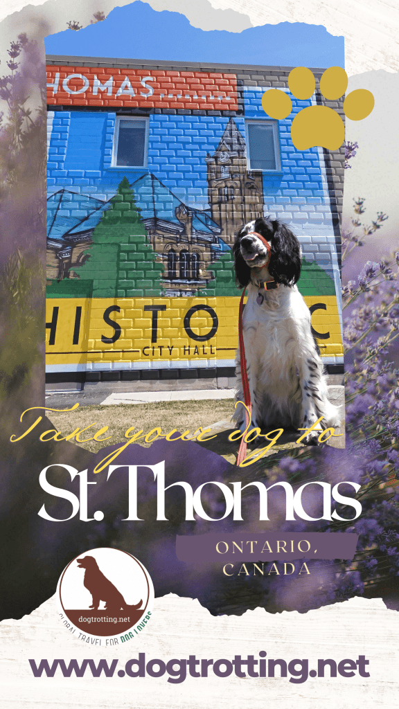 Mile High Pup: The Dog-friendly Elevated Walk in St Thomas, Ontario ...