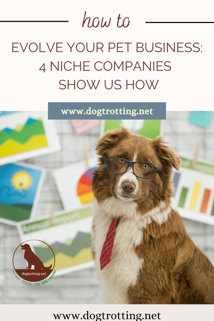 Pandemic Pivot? 4 Pet Industry Entrepreneurs Show Us How - Dog Trotting